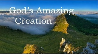 Gods Amazing Creation | Orlando Bible Students